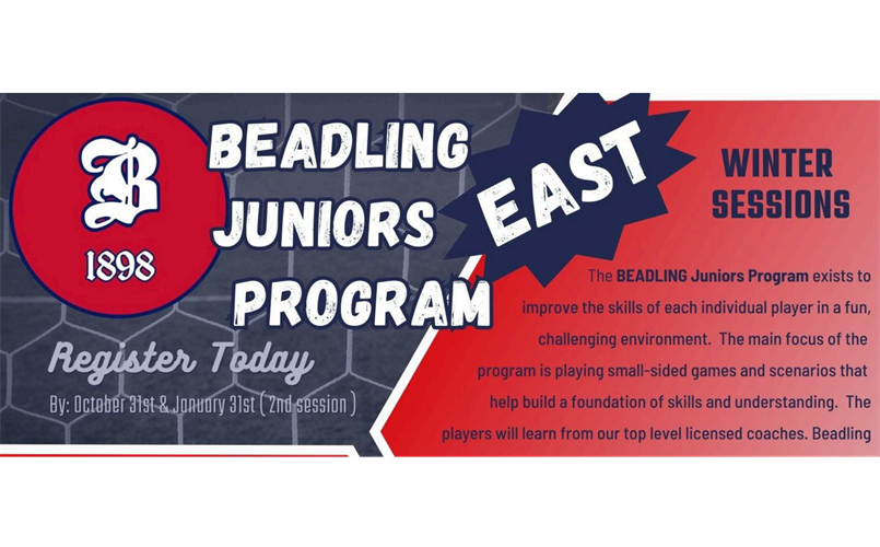 Home [www.beadling.com]